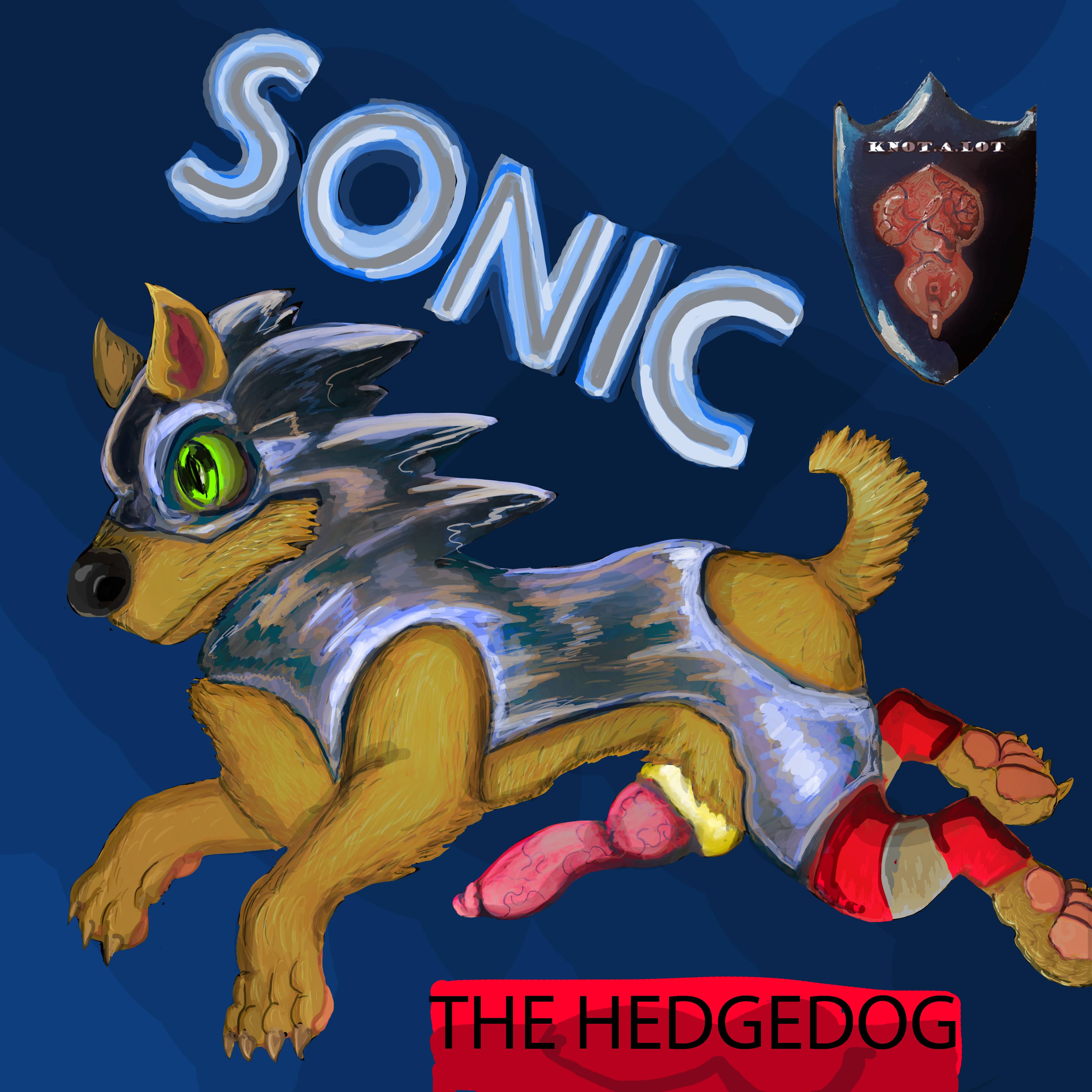 Rule 34 Cock Ring Feral Golden Ring Knot Latex Solo Sonic Series Sonic The Hedgehog Sonic