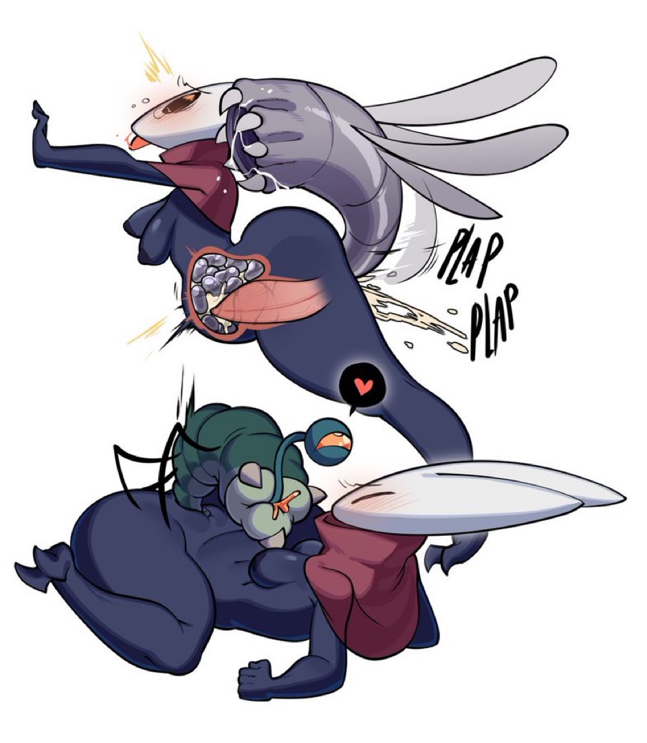 Rule 34 Bbo Bug Egg Implantation Female On Feral Hollow Knight Hornet 6386