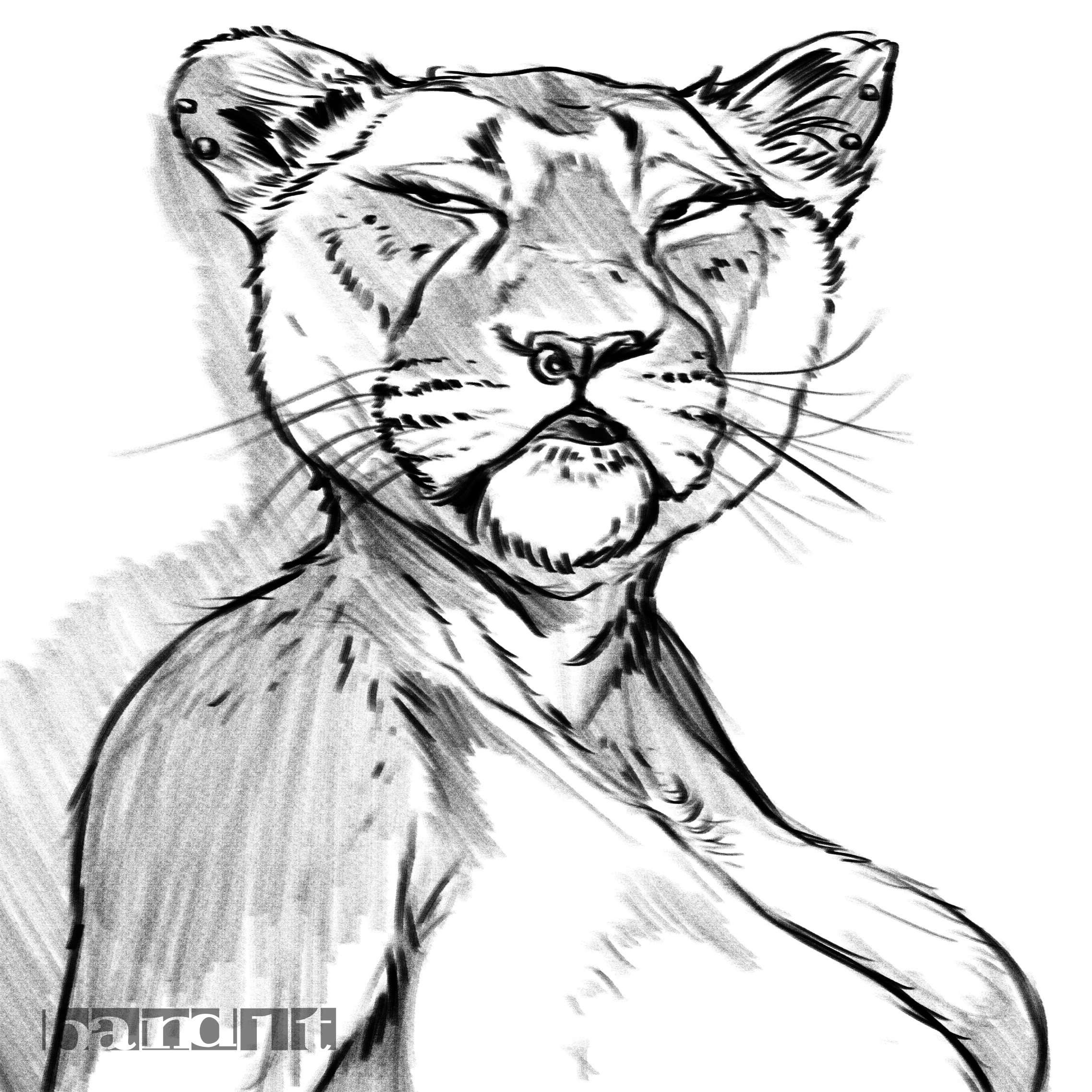 Rule 34 11 Annoyed Expression Anthro Band1tnsfw Black And White 6282