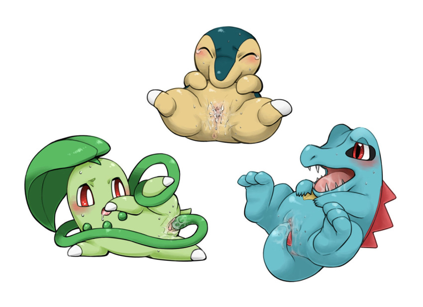 Rule 34 Anus Blush Chikorita Cyndaquil Drooling Female Masturbation