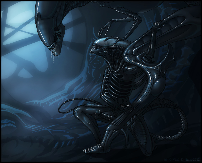 Rule 34 Alien Alien Franchise Drooling Male Male Xenomorph Penis