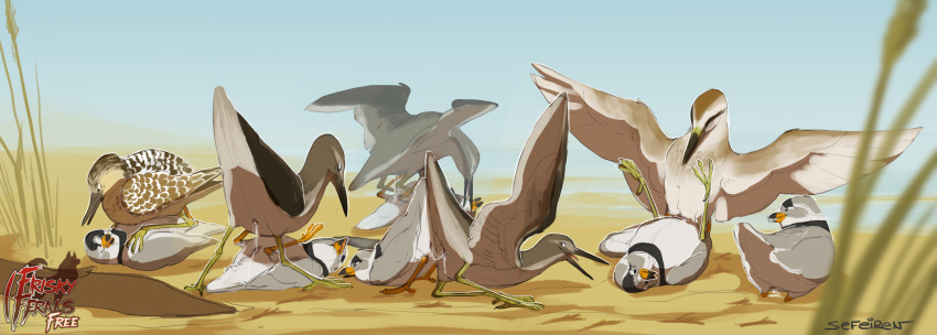 Rule 34 2013 Ambiguous Gender Ass Up Avian Beach Beak Bird Buff