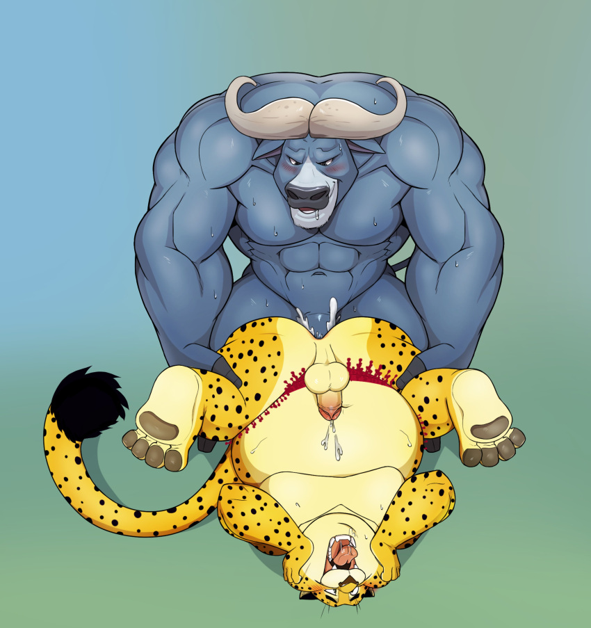 Rule 34 Absurd Res Anal Anthro Balls Benjamin Clawhauser Bodily