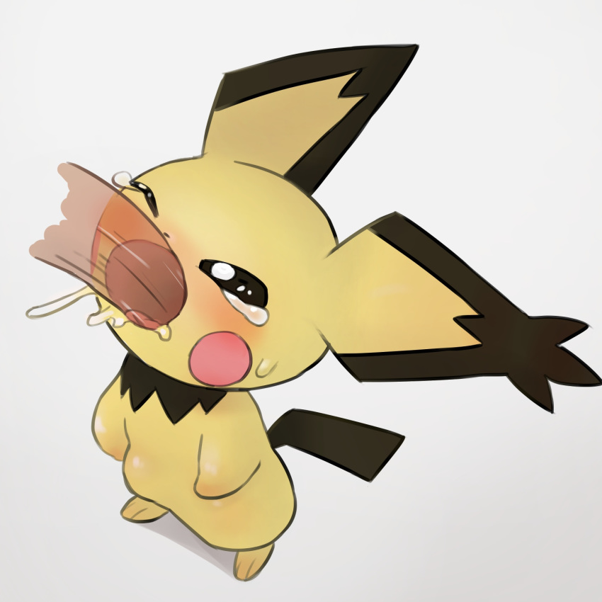 Rule 34 Ambiguous Gender Blush Disembodied Penis Fellatio Fur Male Nintendo Oral Penis Pichu