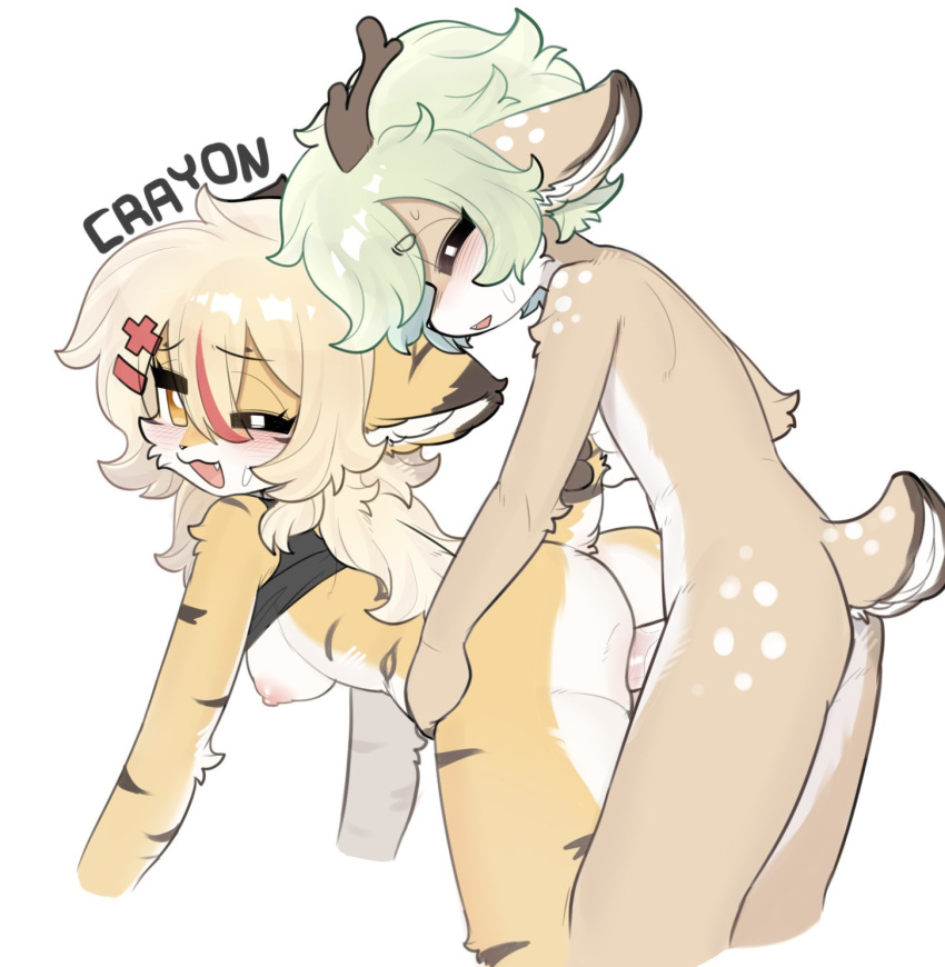 Rule 34 Anthro Anthro On Anthro Anthro Penetrated Anthro Penetrating Anthro Penetrating Anthro