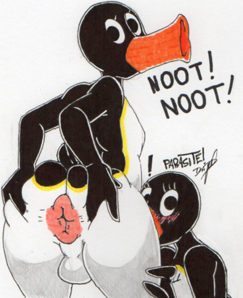 Rule 34 Anus Avian Balls Bird Fellatio Female Hi Res Incest Male Oral