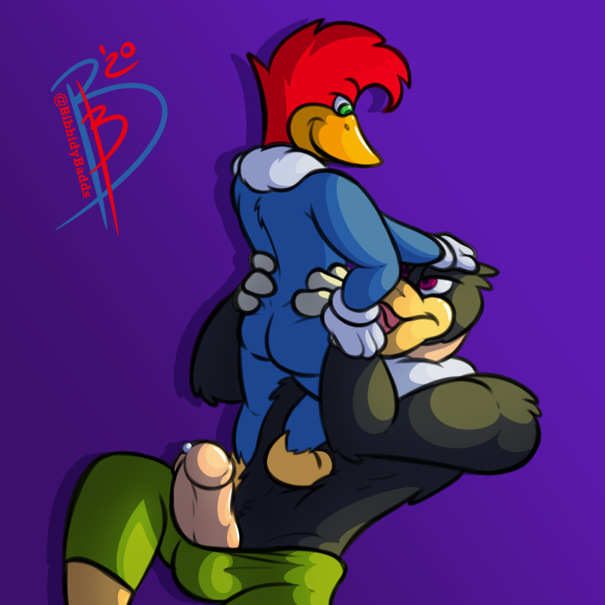 Rule 34 1 1 2020 Accipitriform Anthro Avian Balls Outline Balls Under