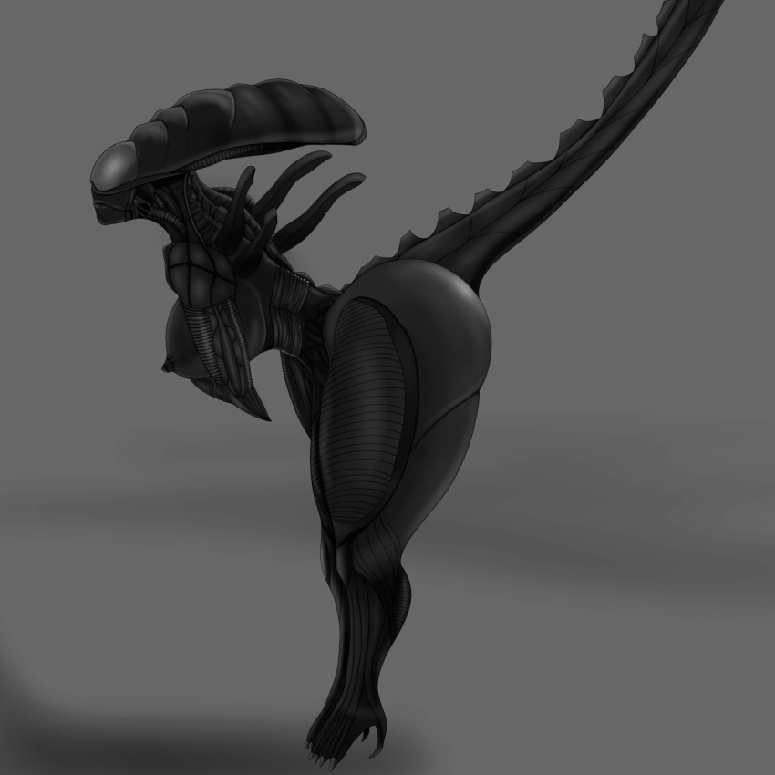 Rule 34 Alien franchise Alien Girl Big Ass Big Breasts Big Nipples rule-34-alien-franchise-alien-girl-big-ass-big-breasts-big-nipples