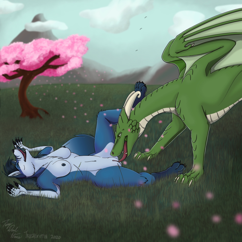 Rule 34 1 1 4 Toes 5 Fingers Anthro Anthro On Feral Blue Body Blue Fur Blue Hair Bonsai
