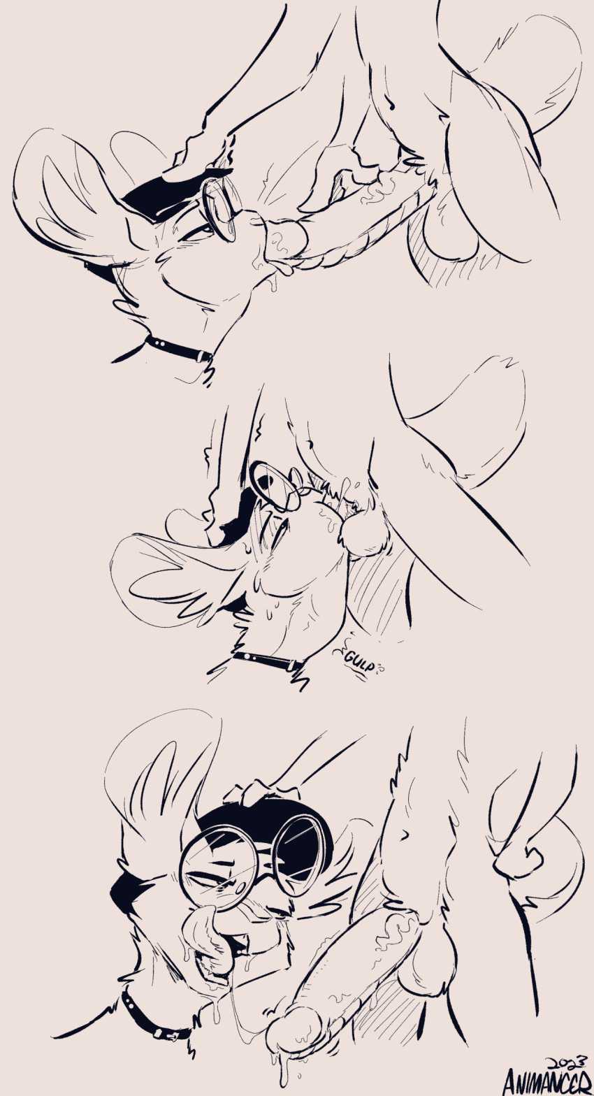Rule 34 Absurd Res Aevsivs Animancer Arachnid Arthropod Collar Comic Deepthroat Dipodid