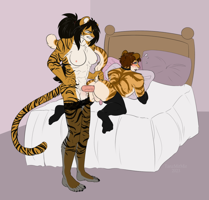 Rule 34 5 Toes Absurd Res Anal Anal Sex Anthro Arm Warmers Armwear Breasts Clothed Clothing