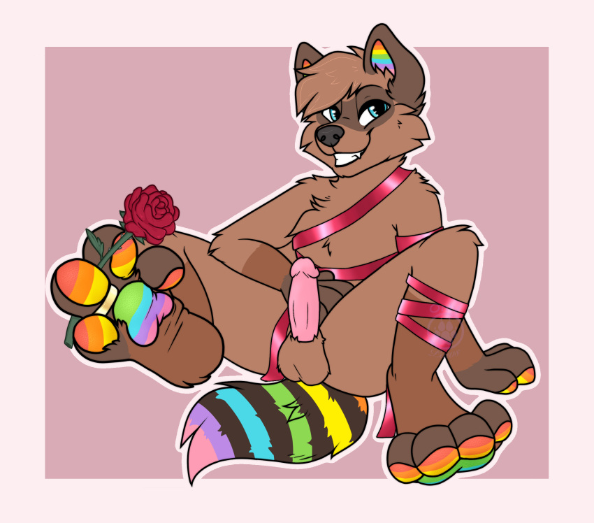 Rule 34 Accessory Anthro Balls Bedroom Eyes Between Toes Blue Eyes Brown Body Brown Fur Brown