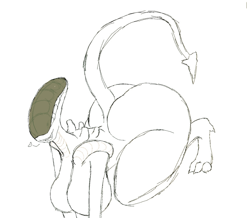 Rule 34 Alien Alien Franchise All Fours Coryhen Artist Doughy Ass 4006