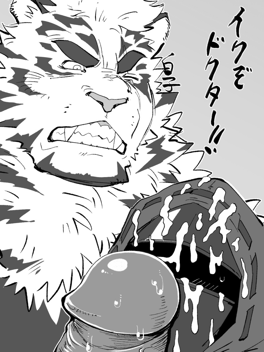 Rule 34 41raco Anthro Arknights Big Penis Blush Bodily Fluids Clenched Teeth Clothing Cum Cum
