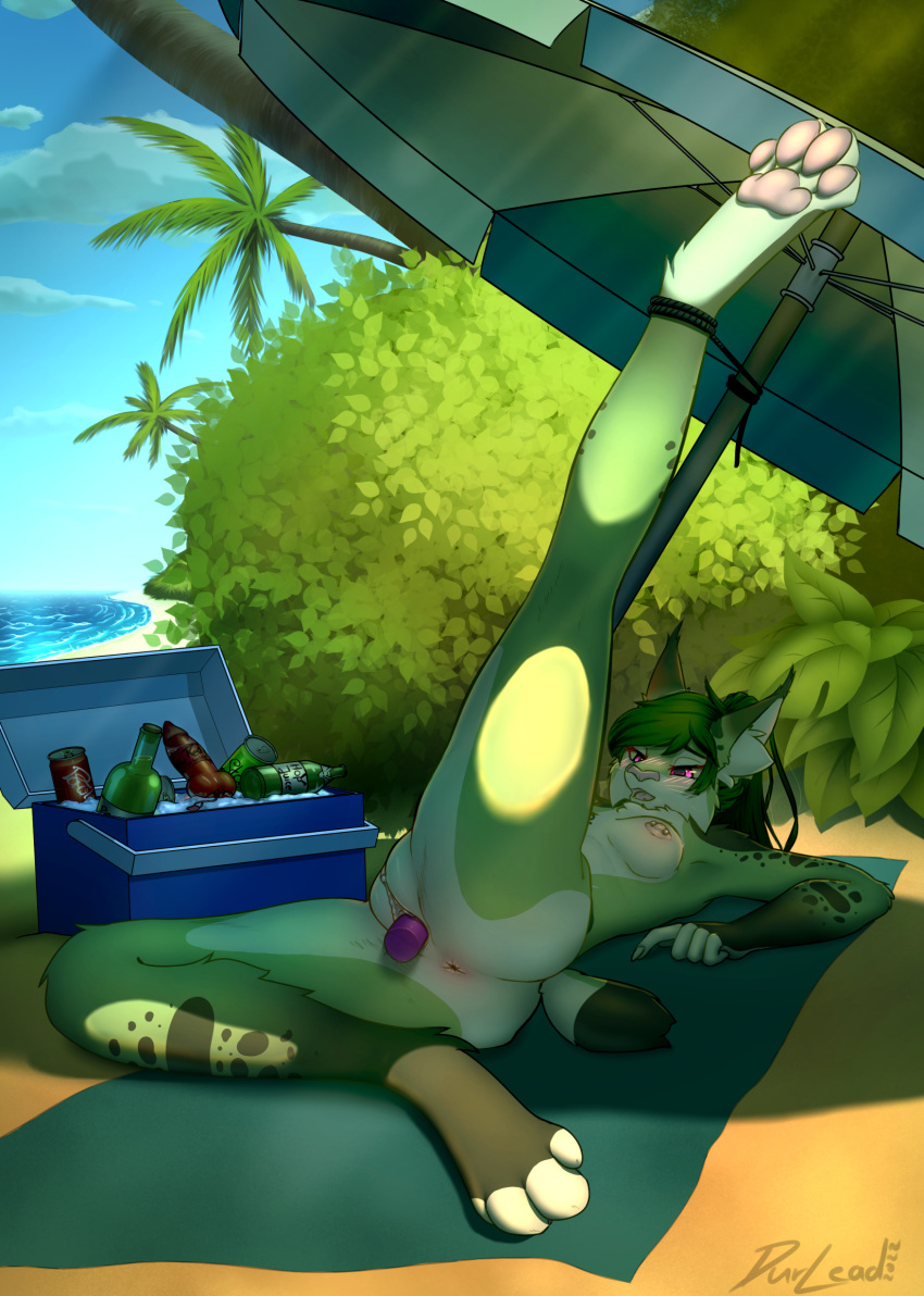 Rule 34 Alcohol Anthro Anus Beach Beer Beverage Bobcat Bondage