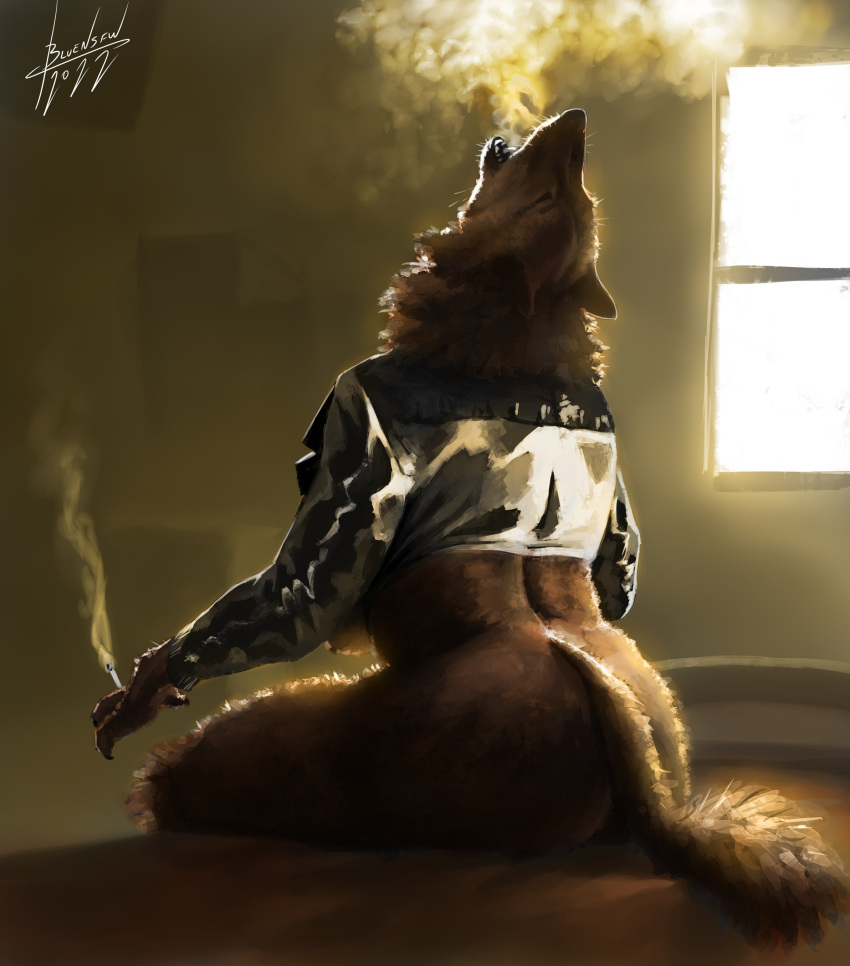 Rule 34 Big Ass Blulesnsfw Breasts Bubble Butt Female Furry 6802493