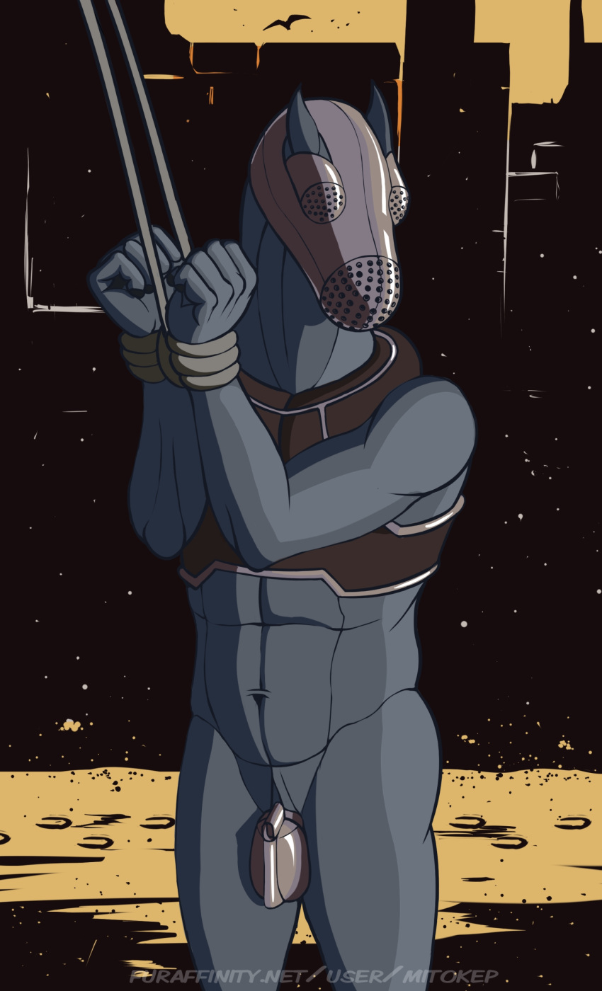Rule 34 2022 Absurd Res Ambient Bird Anthro Avian Bird Bondage