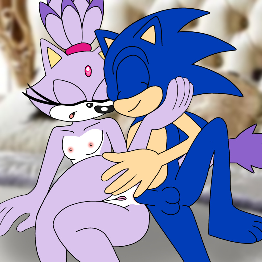 Rule 34 Anal Anal Sex Blaze Blaze The Cat Huge Ass Male Penis Small Breasts Sonic Series
