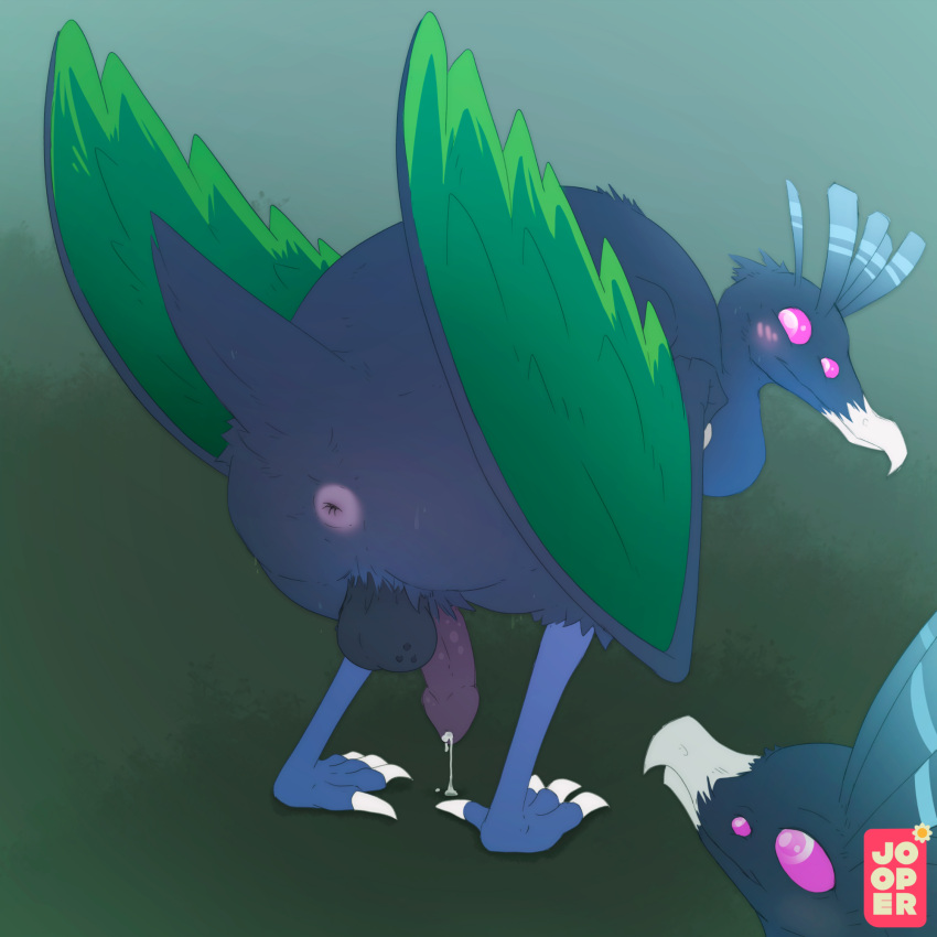 Rule 34 Alloy Vulture Ambiguous Gender Anus Ass Avian Balls Beak 1753