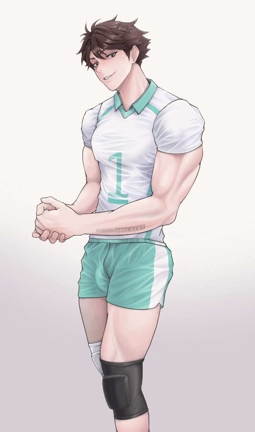 Rule 34 Male Male Only Oikawa Tooru Haikyuu Onglai87 Solo Male Tagme 7215564