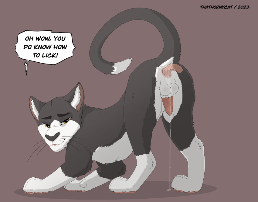 Rule 34 Absurd Res Balls Felid Feline Feral Genitals Hi Res Male Mammal Penis Solo