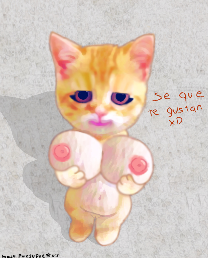 Rule 34 Big Breasts Cat Orange Domestic Cat El Gato Feline Silly Cats