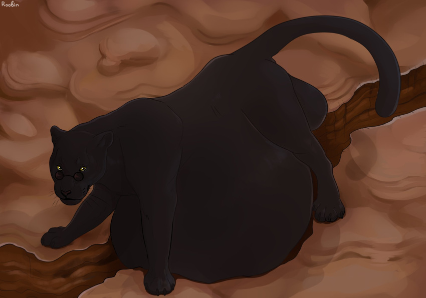 Rule 34 Balls Belly Big Balls Big Belly Black Balls Black Body Black