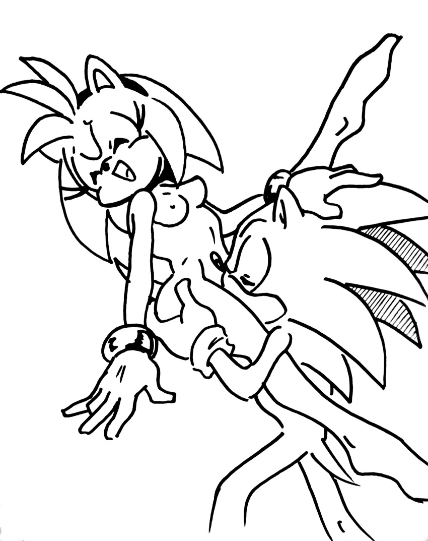 Rule 34 Amy Rose Anthro Cunnilingus Duo Hand On Anothers Head