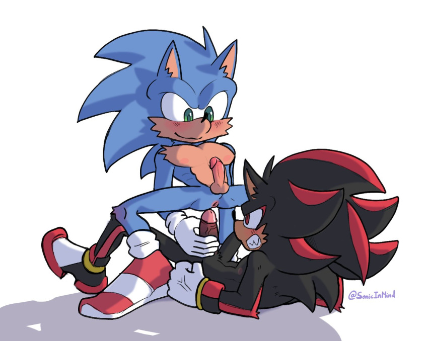Rule 34 Anal Anal Sex Anthro Balls Furry Gay Gay Sex Green Eyes Penis Shadow The Hedgehog
