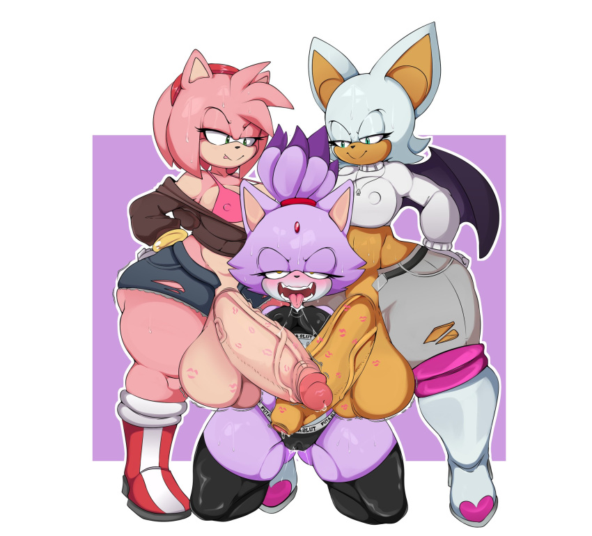 Rule 34 1girls 2futas Amy Rose Anthro Blaze The Cat Chaos Nsfw
