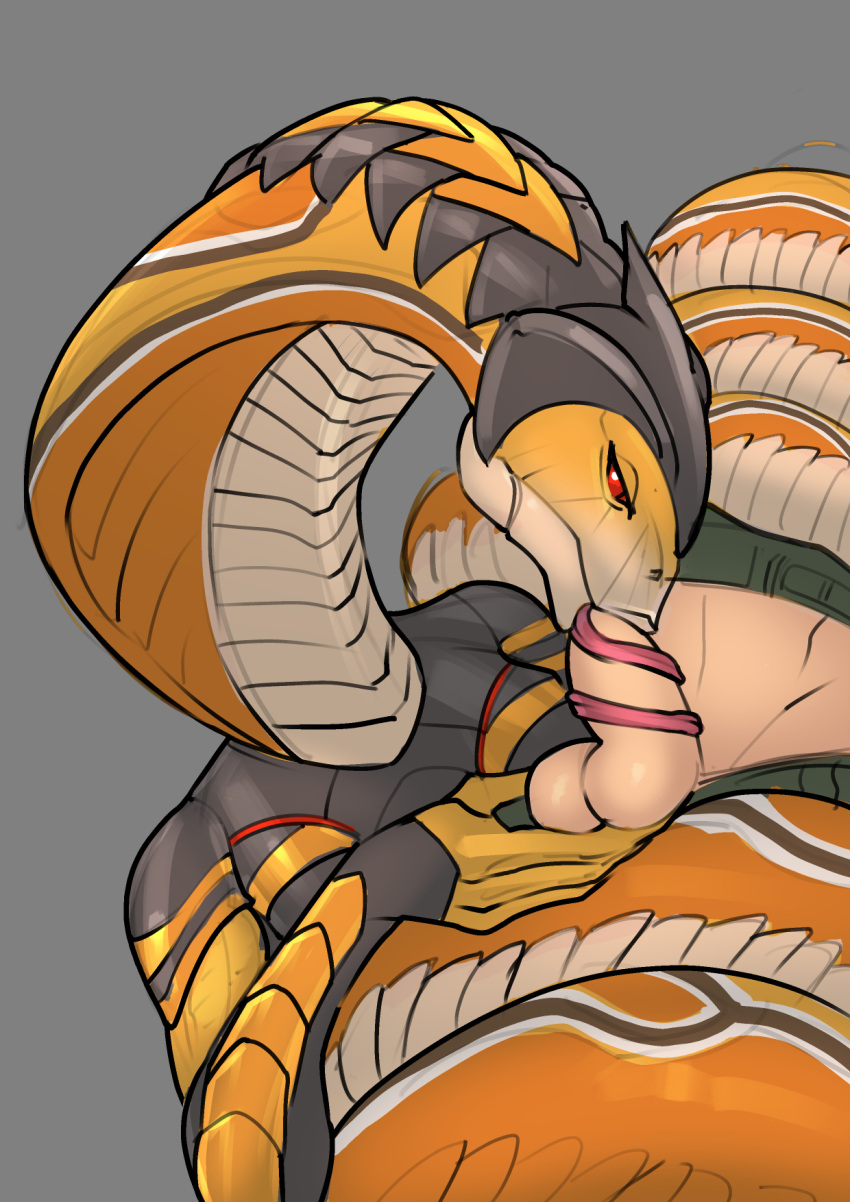 Rule 34 1girls 2023 Anthro Anthro Focus Anthro Penetrated Armor 4789