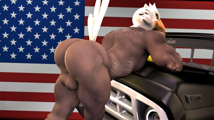 Rule 34 1boy 3d Artwork Accipitrid Accipitriform Anthro Ass Avian 4593