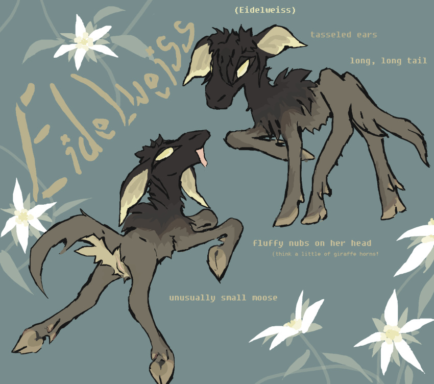 Rule 34 2n2n Capreoline Character Name Deer English Text Female Feral Genitals Hi Res Mammal