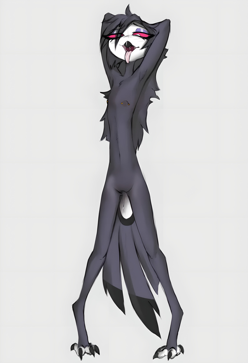 Rule 34 Feather Hair Feathered Tail Feathers Fox Of Tacs Grey Body