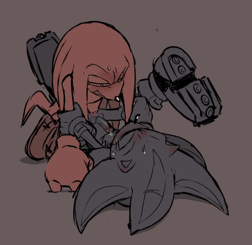 Rule 34 Furry Knuckles The Echidna Male Penis Sega Sex Shadow The