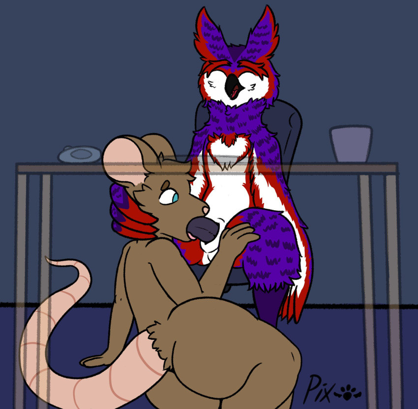 Rule 34 Anthro Ass Avian Big Butt Bird Bubo Genus Duo Fellatio Great Horned Owl Hi Res Male