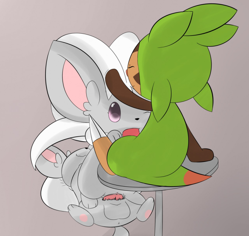 Rule 34 Chespin Cinccino Fur Furry Minccino Oral Oral Sex Pokémon Species Pokemon Pokemon