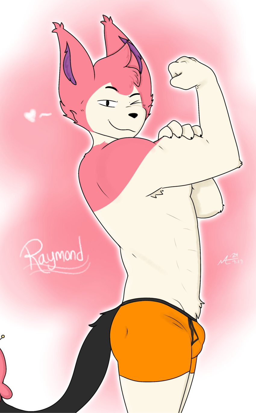 Rule 34 2024 Abs Absurd Res Black Nose Boxer Briefs Bulge Feline