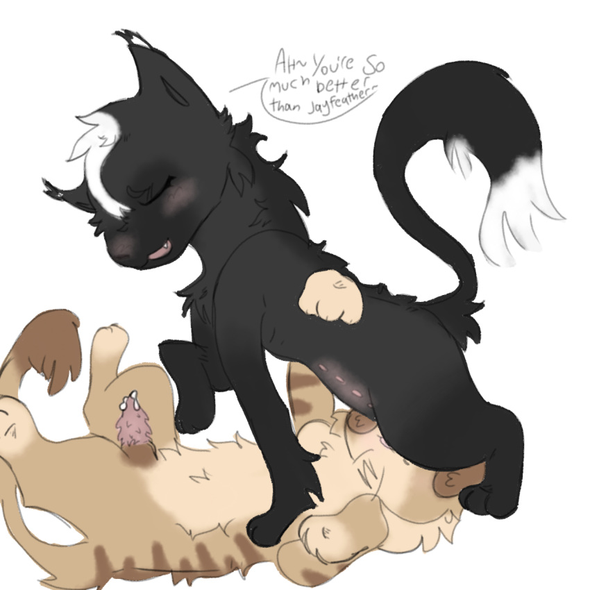 Rule 34 Cunnilingus Felid Feline Feline Genitalia Feline Penis Feline 7831