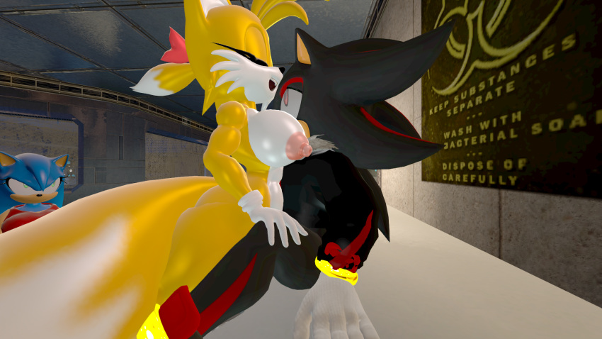 Rule 34 3d Cuckquean Female Hedgehog Miles Prower Miles Tails Prower Rule 63 Sex Sfm Shadow